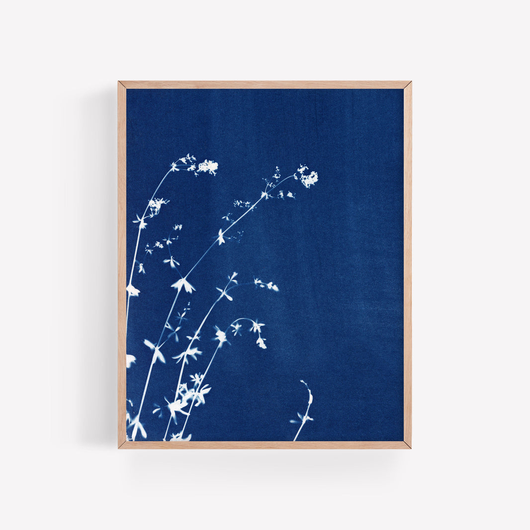 Art Prints – Atwater Designs